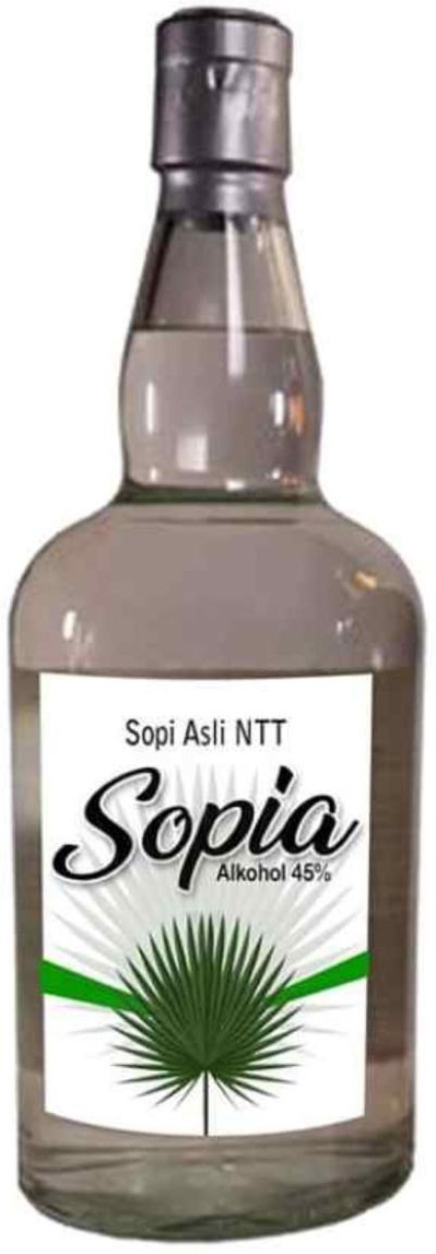 Vicktor "Sophia" Laiskodat - EXPO NTT